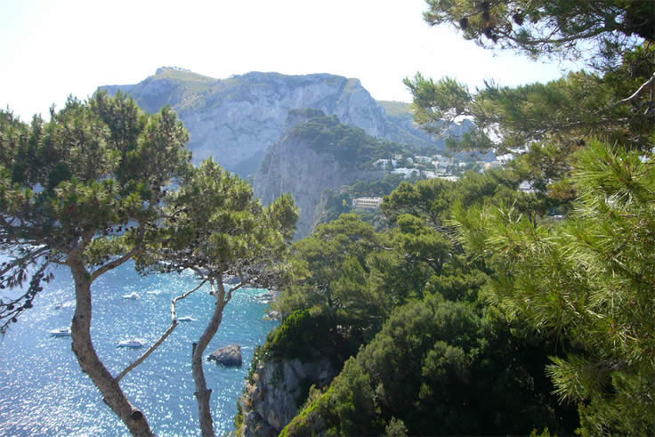 Day Trip to the Amalfi Coast - Through Eternity Tours