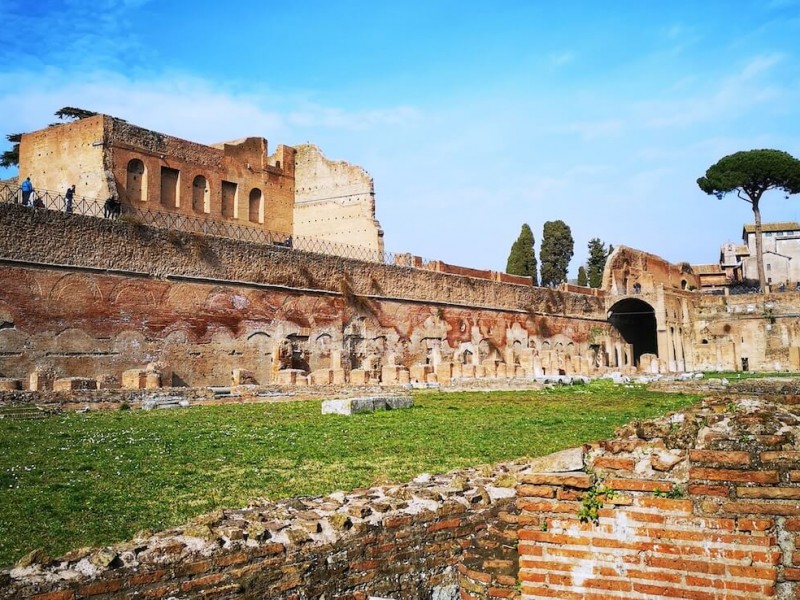 Colosseum Tour & Ancient Rome Tour | Through Eternity
