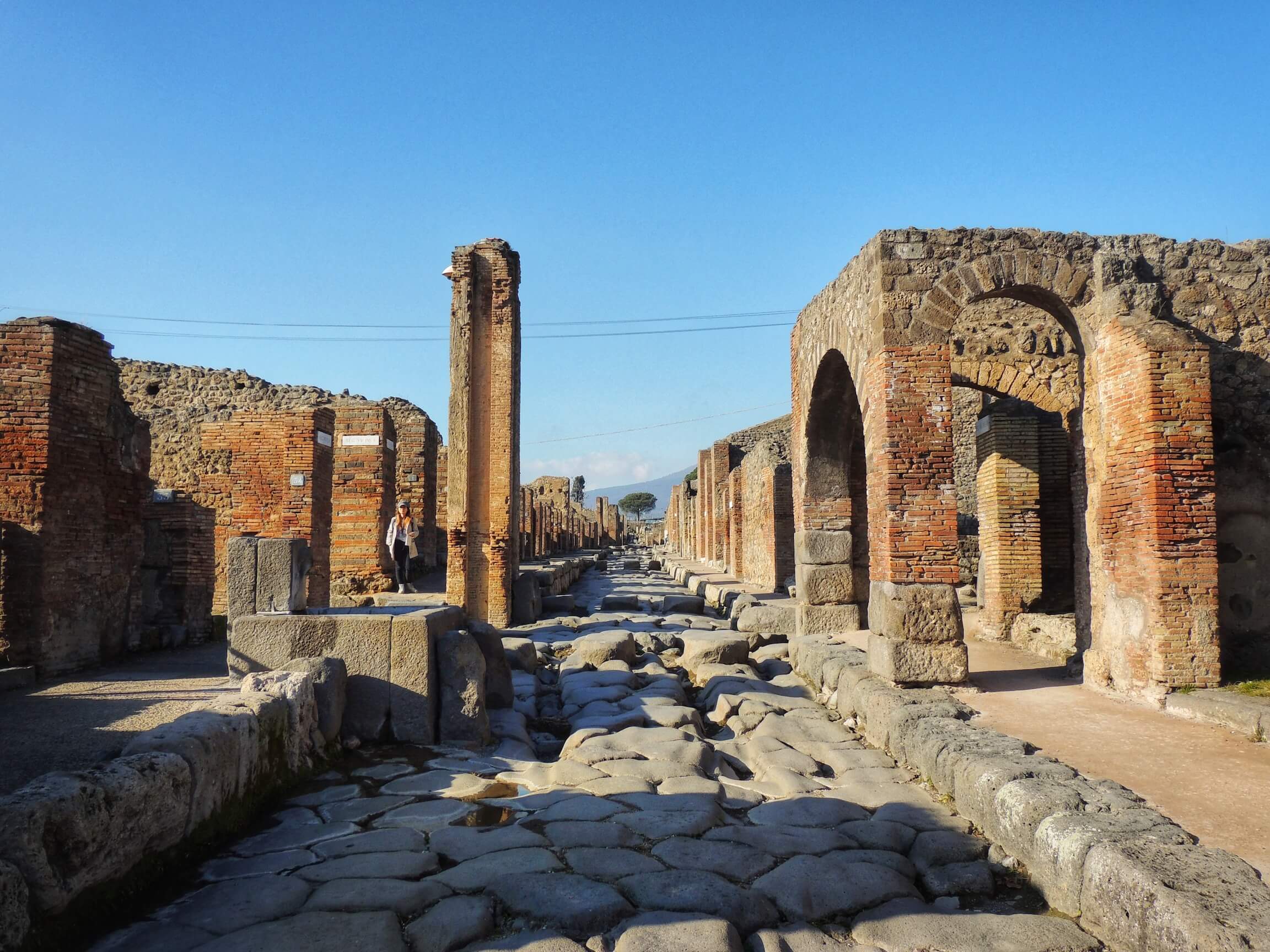 Pompeii & Mt Vesuvius Tour - Through Eternity Tours