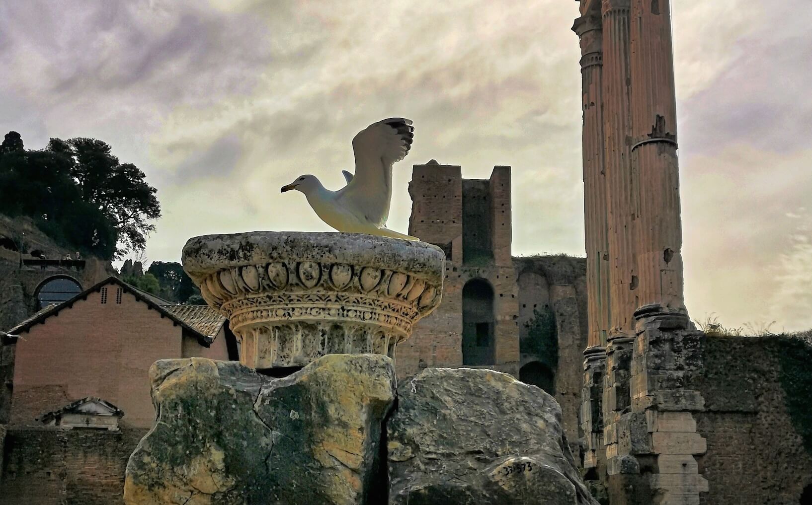 Roman Forum Virtual Tour: Inside Ancient Rome - Through Eternity Tours